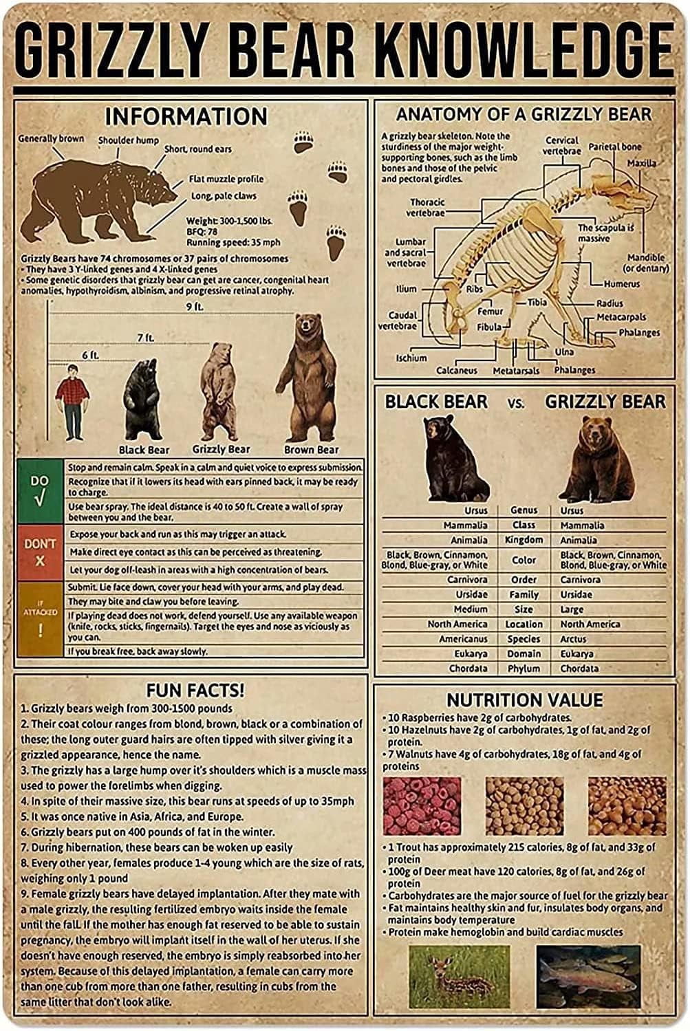 Grizzly Bear Knowledge Metal Signs Vintage Wall Decor Aluminum Poster ...
