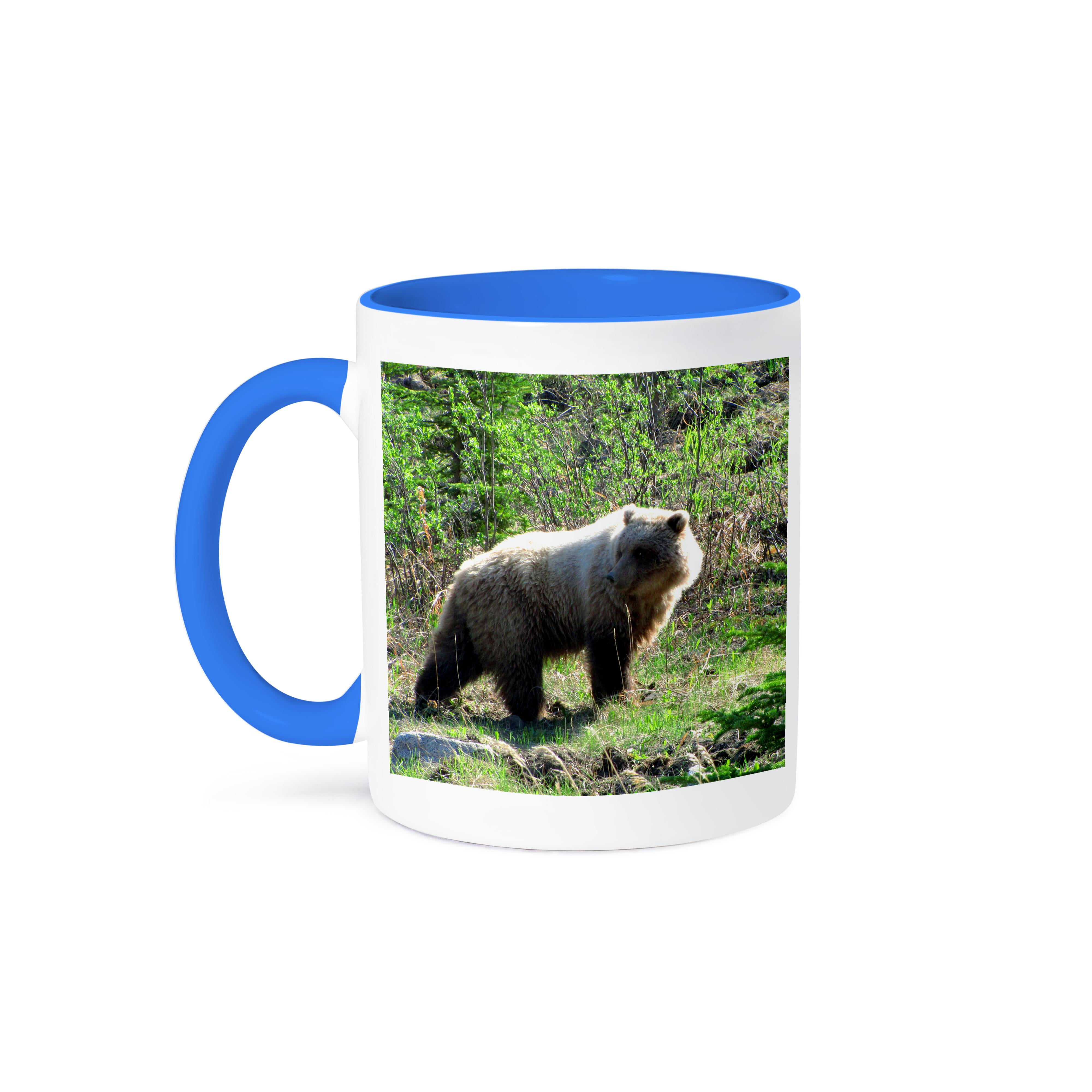 3dRose, Grizzly Bear Out For a Walk in Sunny Yukon Territory, 15oz Two-Tone Blue Mug - Walmart.com