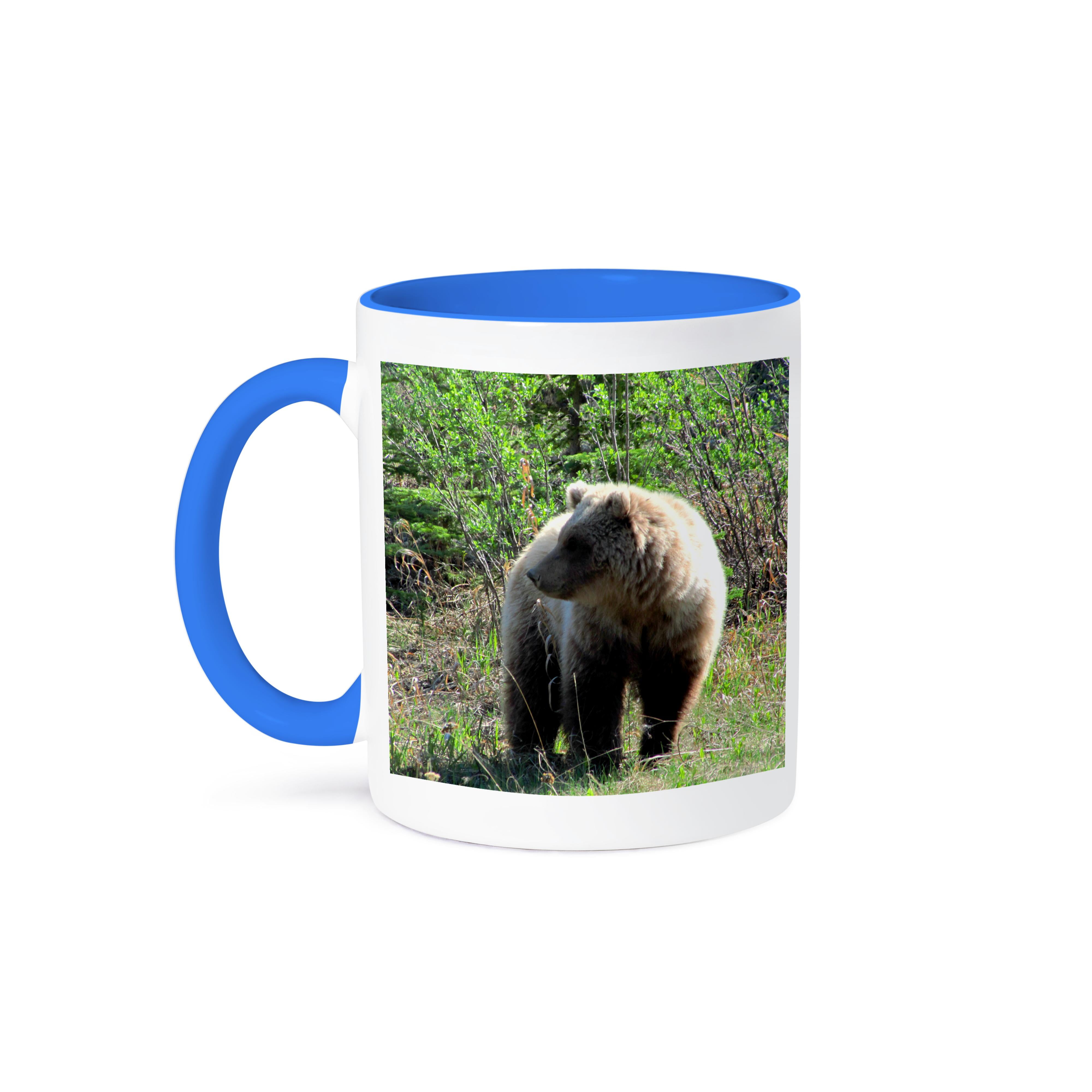 3dRose, Grizzly Bear Scans the Area for Danger in Yukon Territory Canada, 15oz Two-Tone Blue Mug ...