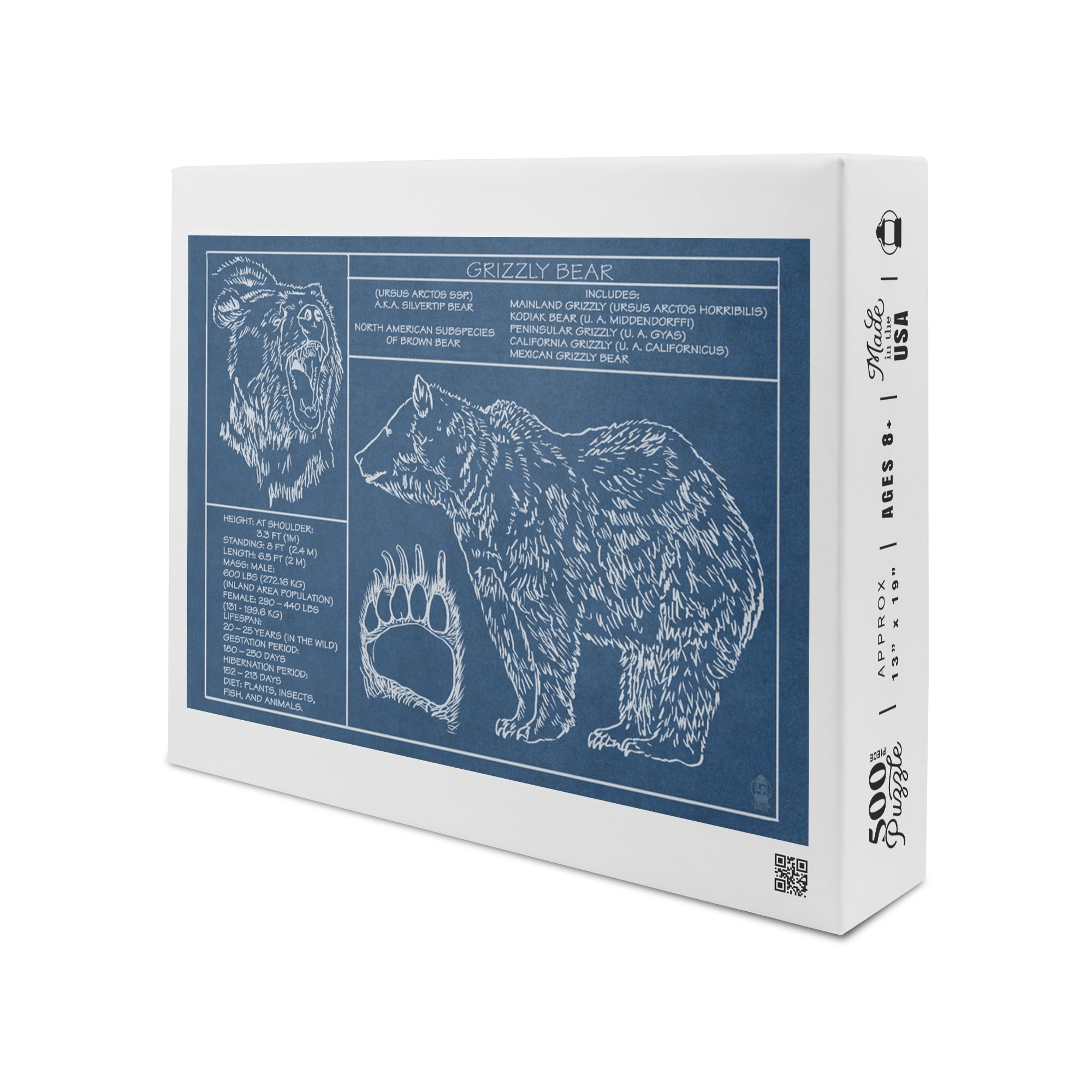 Grizzly Bear, Technical Blueprint (19x27 inches, Premium 500 Piece ...