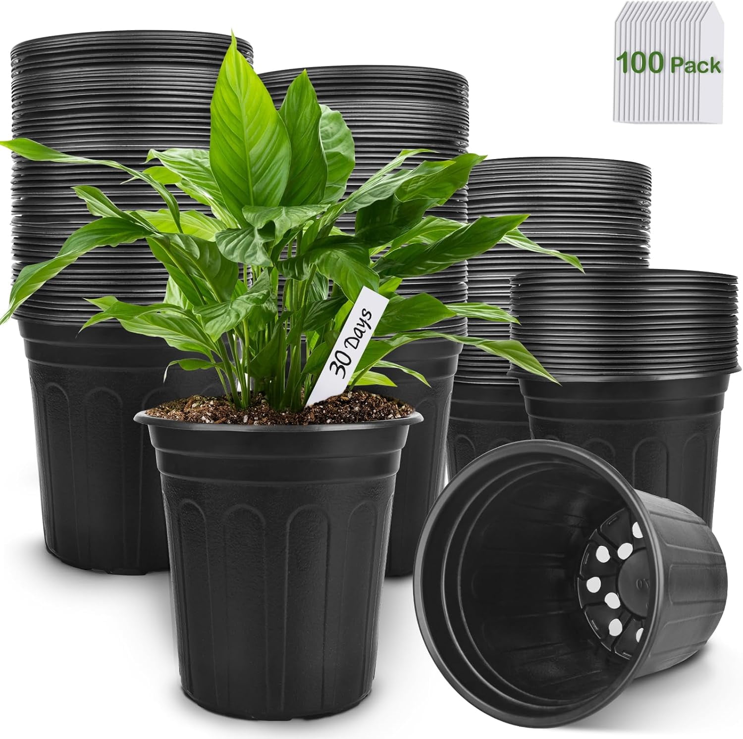 GroTheory 100 Pack 1 Gallon Nursery Pots, 6.7 Inch Plastic Pots for ...