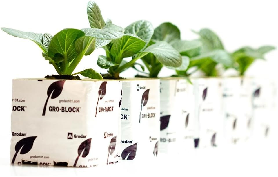 Grodan Rockwool GRO Blocks | 4" Cube - Pack of 36 - Walmart.com