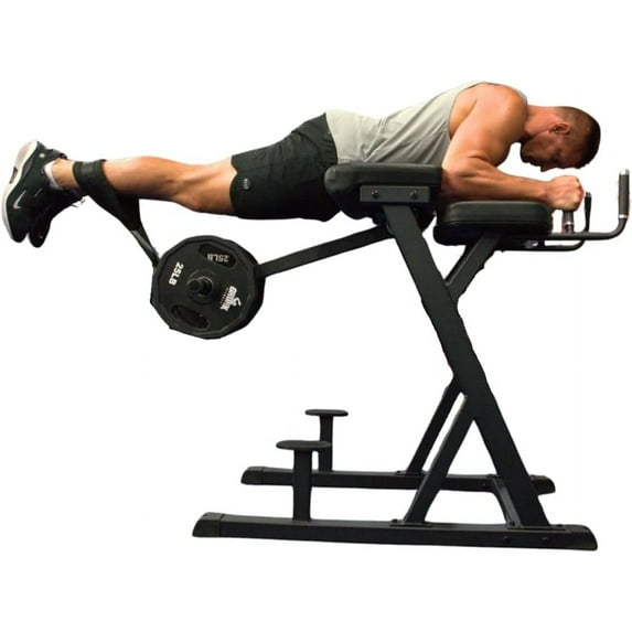 Gronk Fitness Reverse Hyperextension Machine | Plate Loaded Machine ...