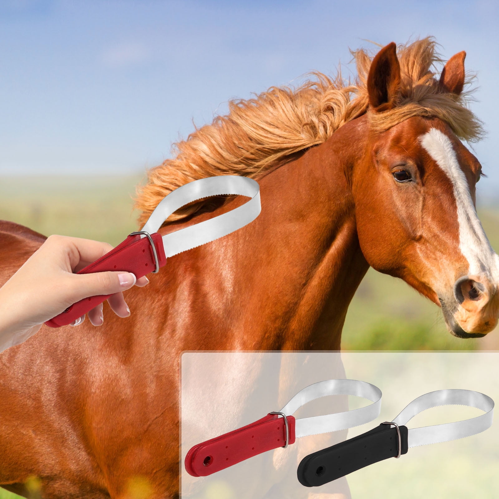 Grooming Tool Horse Hair Scraper, Stainless Steel Blade, Ergonomic ...