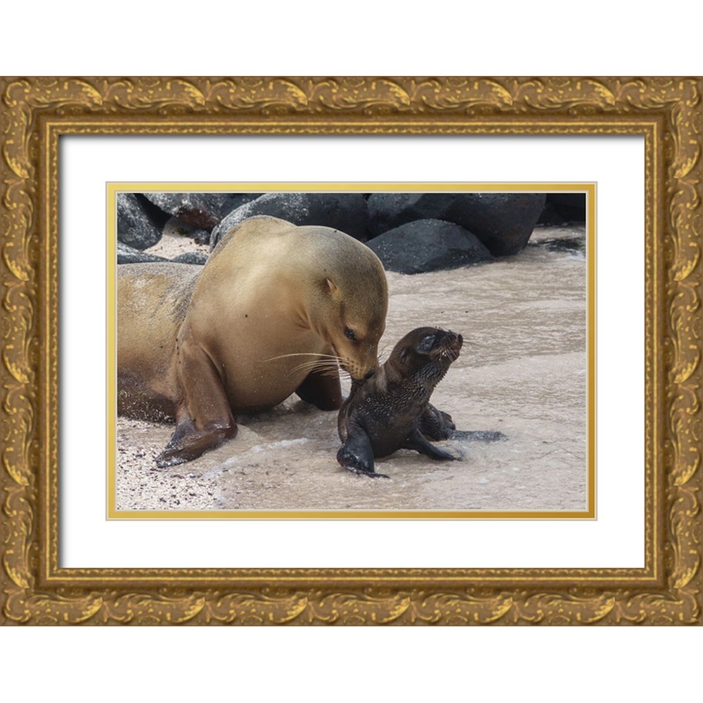Gross, Benny 18x13 Gold Ornate Wood Framed with Double Matting Museum ...