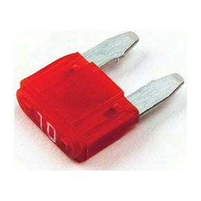 10 Amp Mini Fuse
