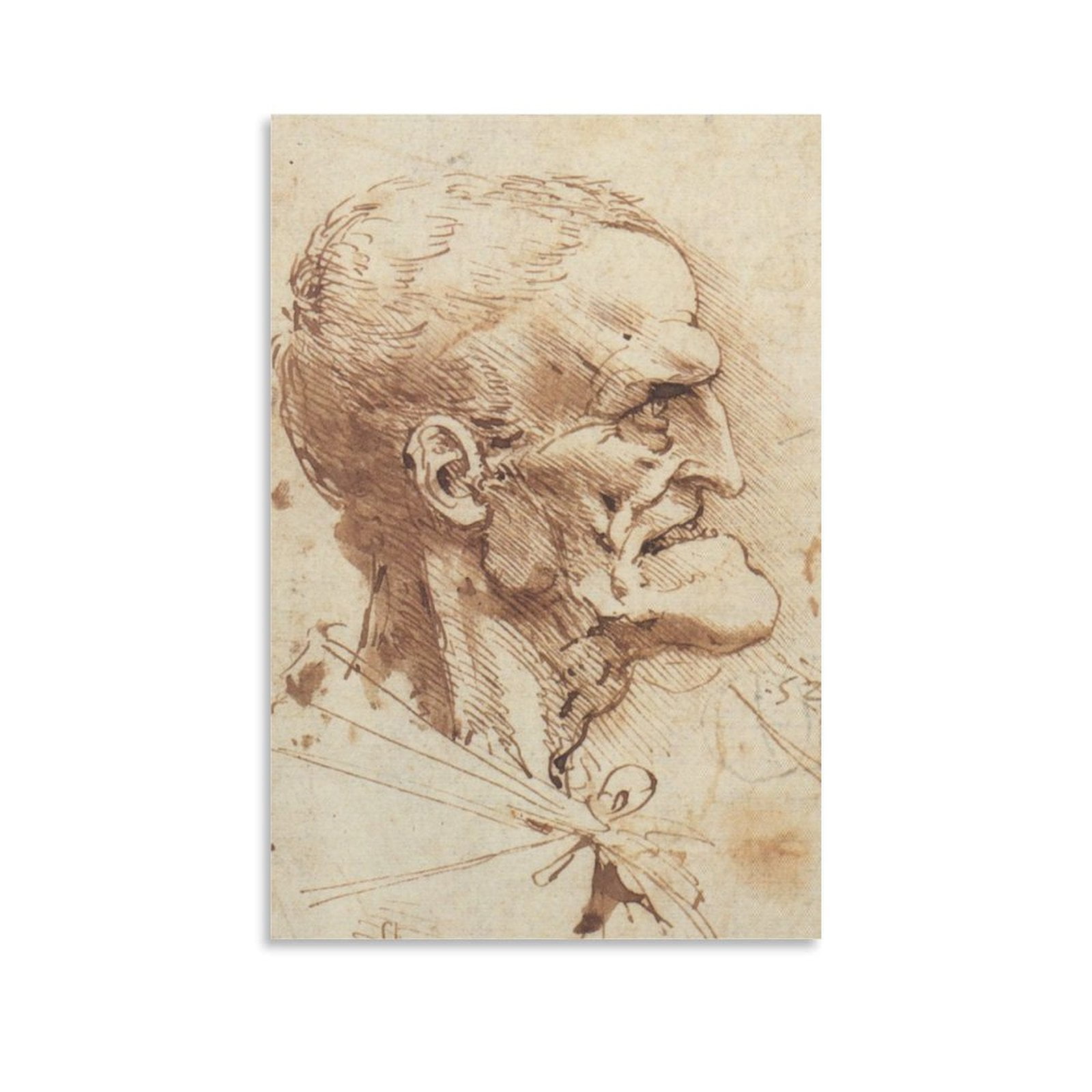 Grotesque Profile by Leonardo Da Vinci Posters Canvas Wall Art Poster ...