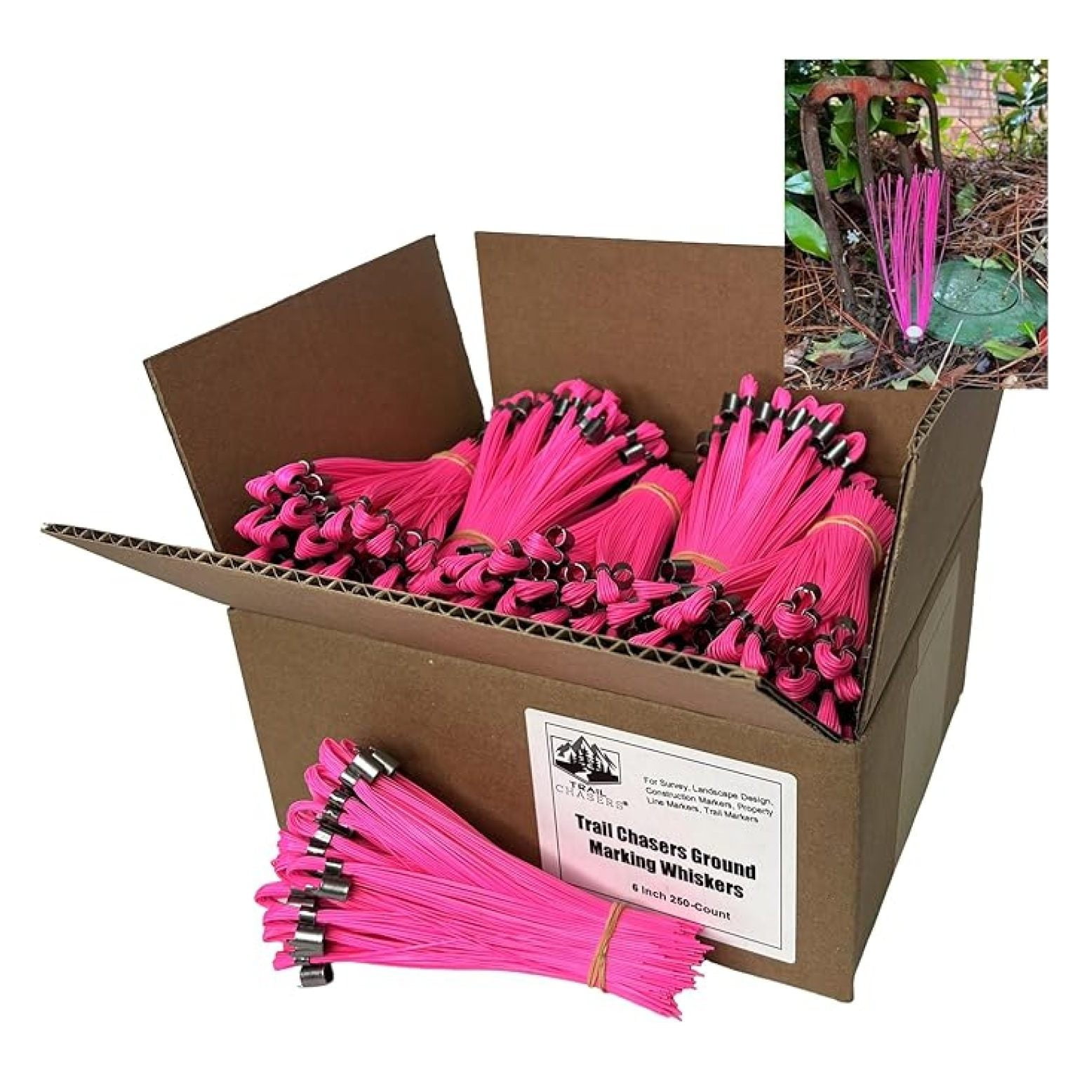 Ground Marking Whiskers Pink 6 Inch 250 Count (Flags only, no ) for ...