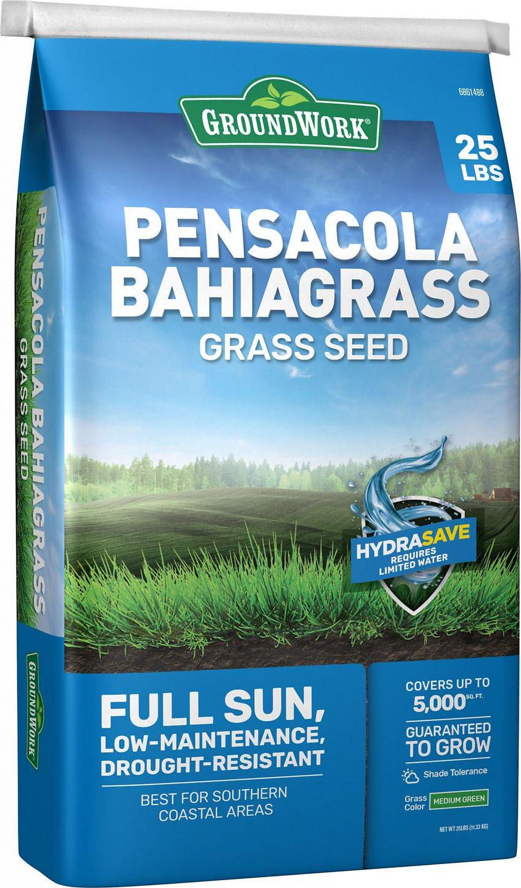 GroundWork 25 lb. Pensacola Bahiagrass Grass Seed Mixture for Lawns with Shade - Walmart.com