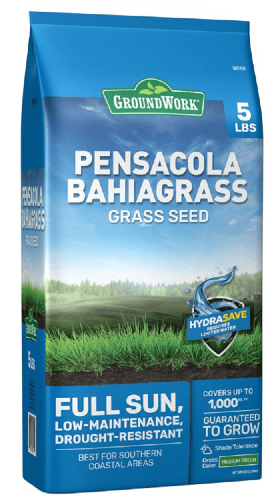 GroundWork 266AX0002UC-5 Pensacola Bahiagrass Grass Seed, 5 lb ...