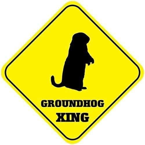 Groundhog Crossing Signs Square Funny Metal Signs for Home Decor Kids ...