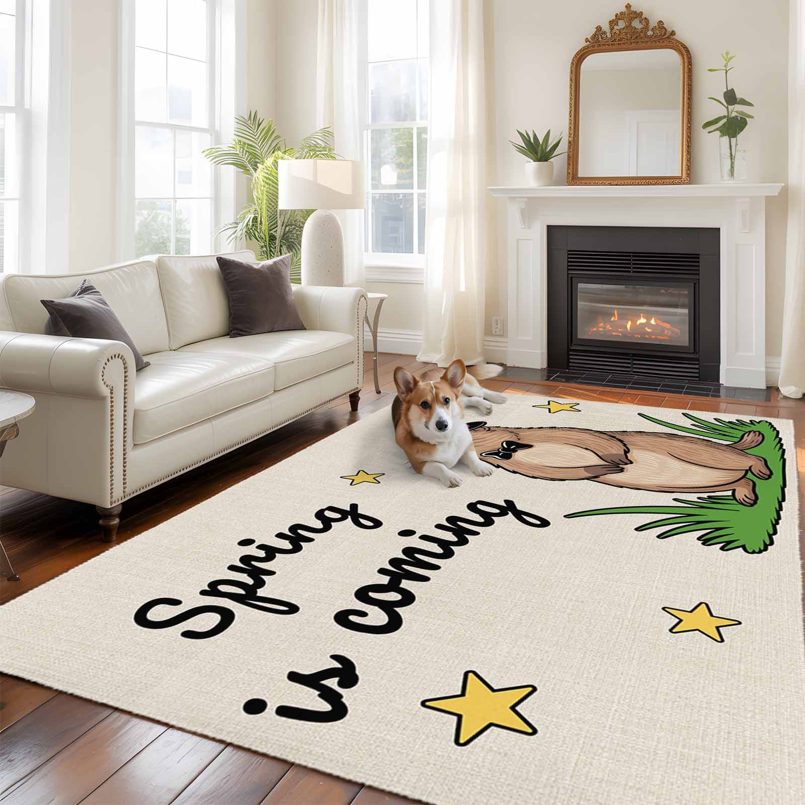 Groundhog Day Area Rugs 5x7 ft Spring Is Coming Cartoon Groundhog Stars ...