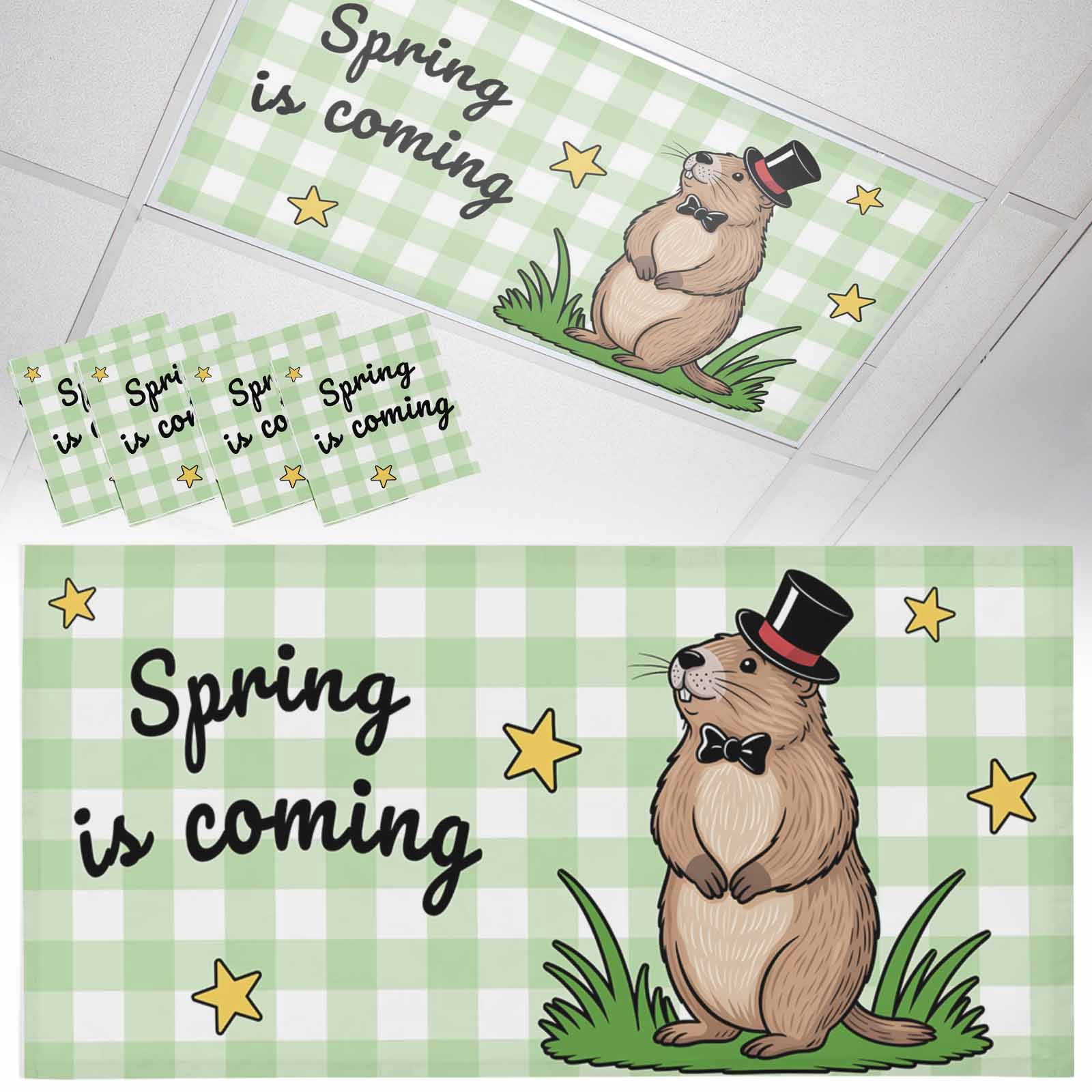 Groundhog Day Fluorescent Light Covers Spring Is Coming Cartoon ...