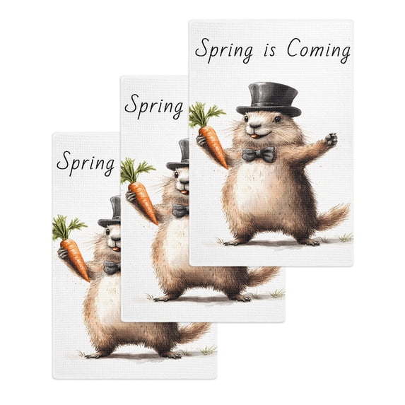 Groundhog Day Kitchen Dish Towels for Drying Dishes Set of 3, Spring ...