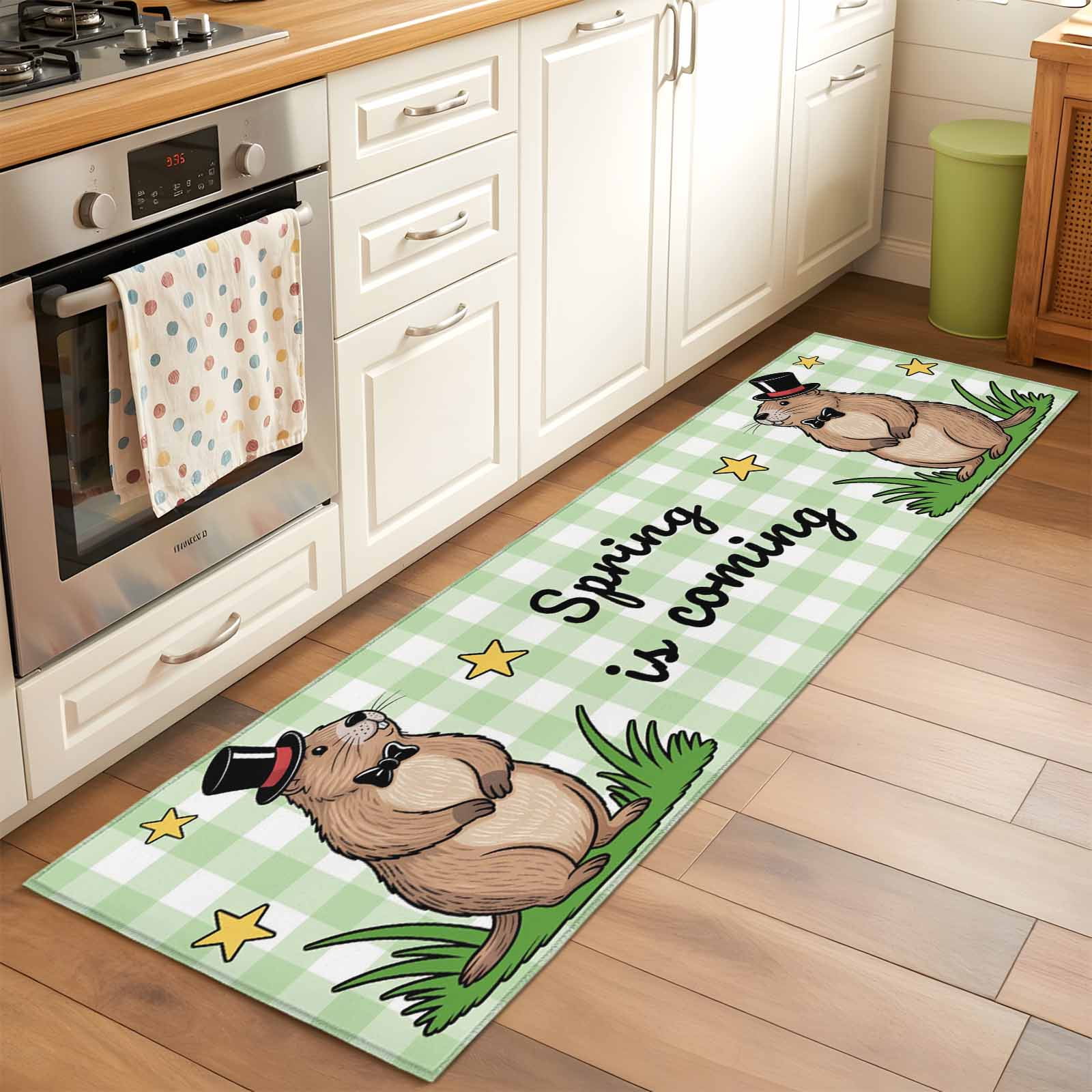Groundhog Day Runner Rugs 2x6 ft Spring Is Coming Cartoon Groundhog ...