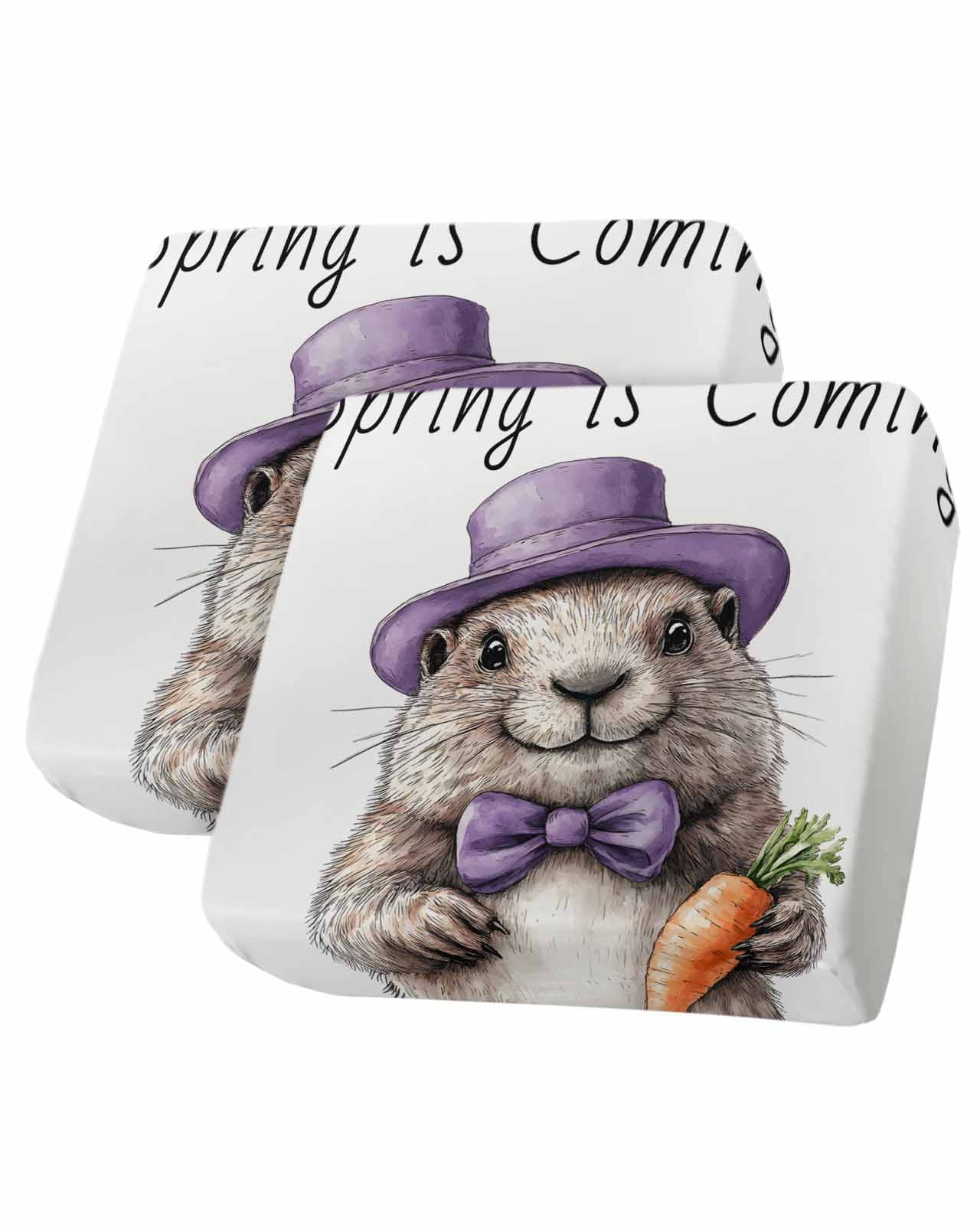 Groundhog Day Sofa Couch Cushion Covers Washable, Removable Stretchable ...