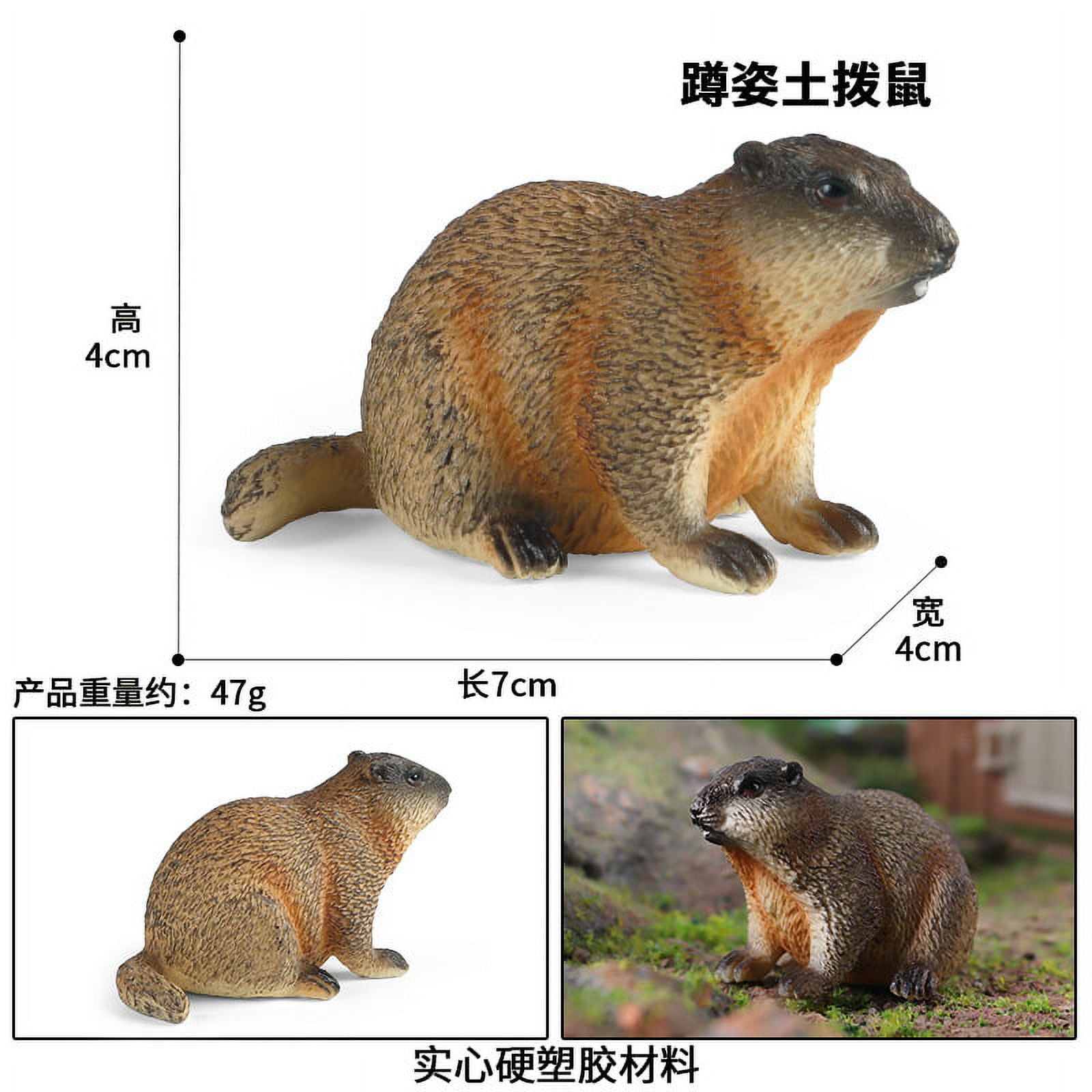 Groundhog Figurine Walking Groundhog Model Wildlife Ornament Walking ...