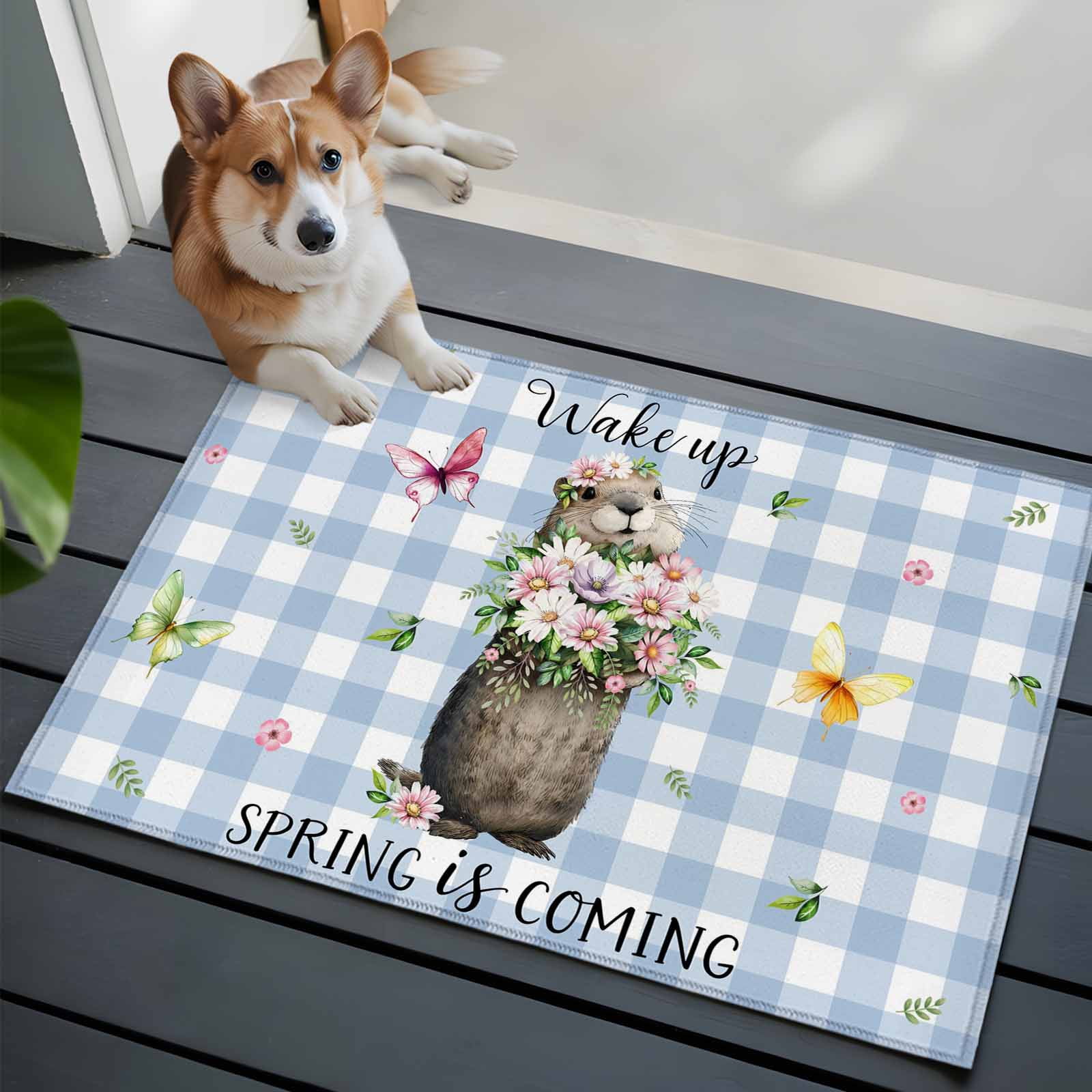 Groundhog Front Door Rugs 2x3 ft Watercolor Spring Pink Purple Floral ...