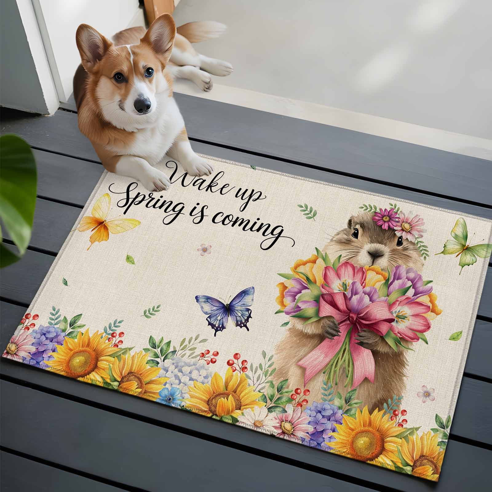 Groundhog Front Door Rugs 2x3 ft Watercolor Spring Yellow Purple Pink ...