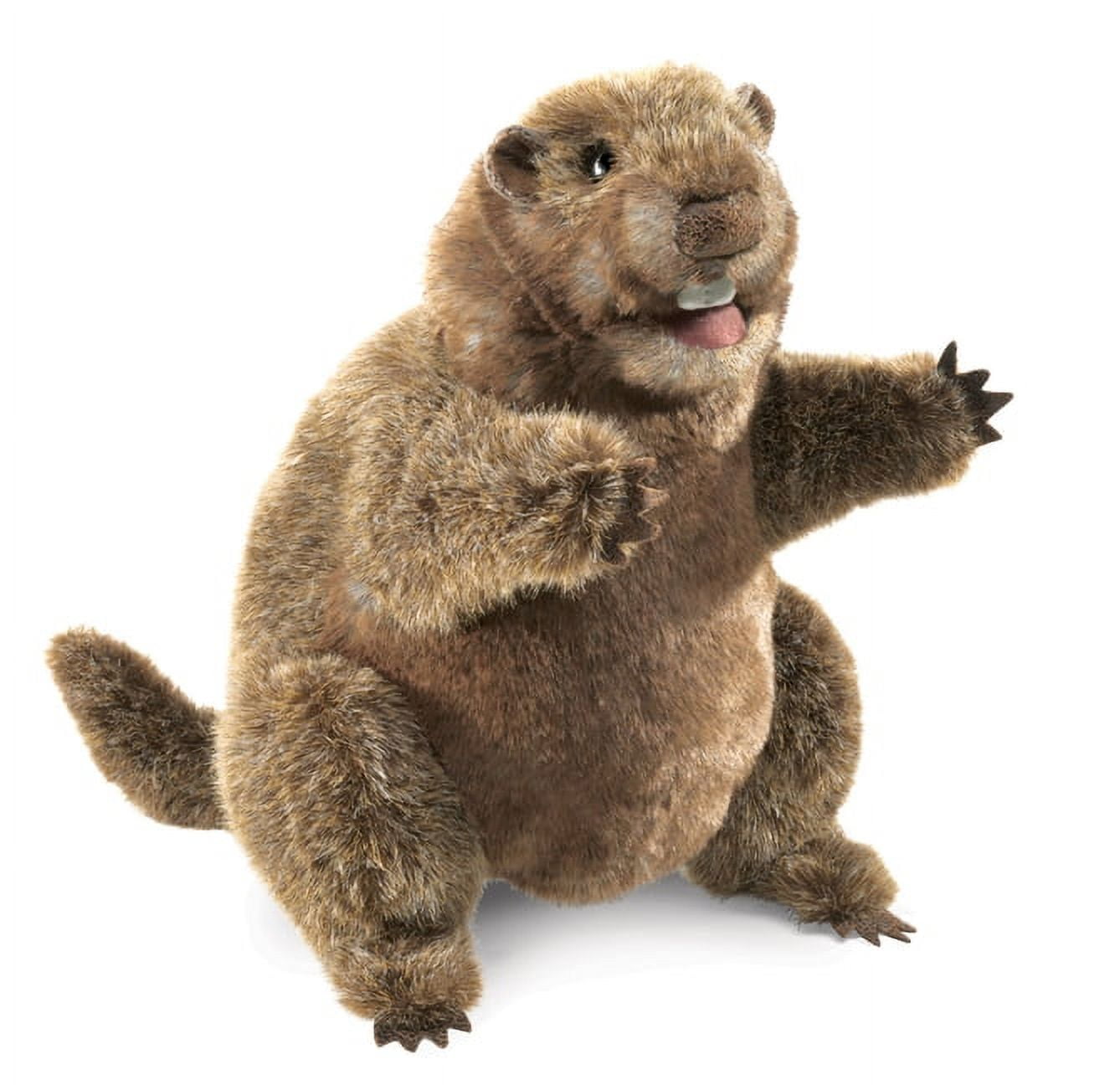 Folkmanis Groundhog Puppet with Movable Mouth and Forelegs - Walmart.com