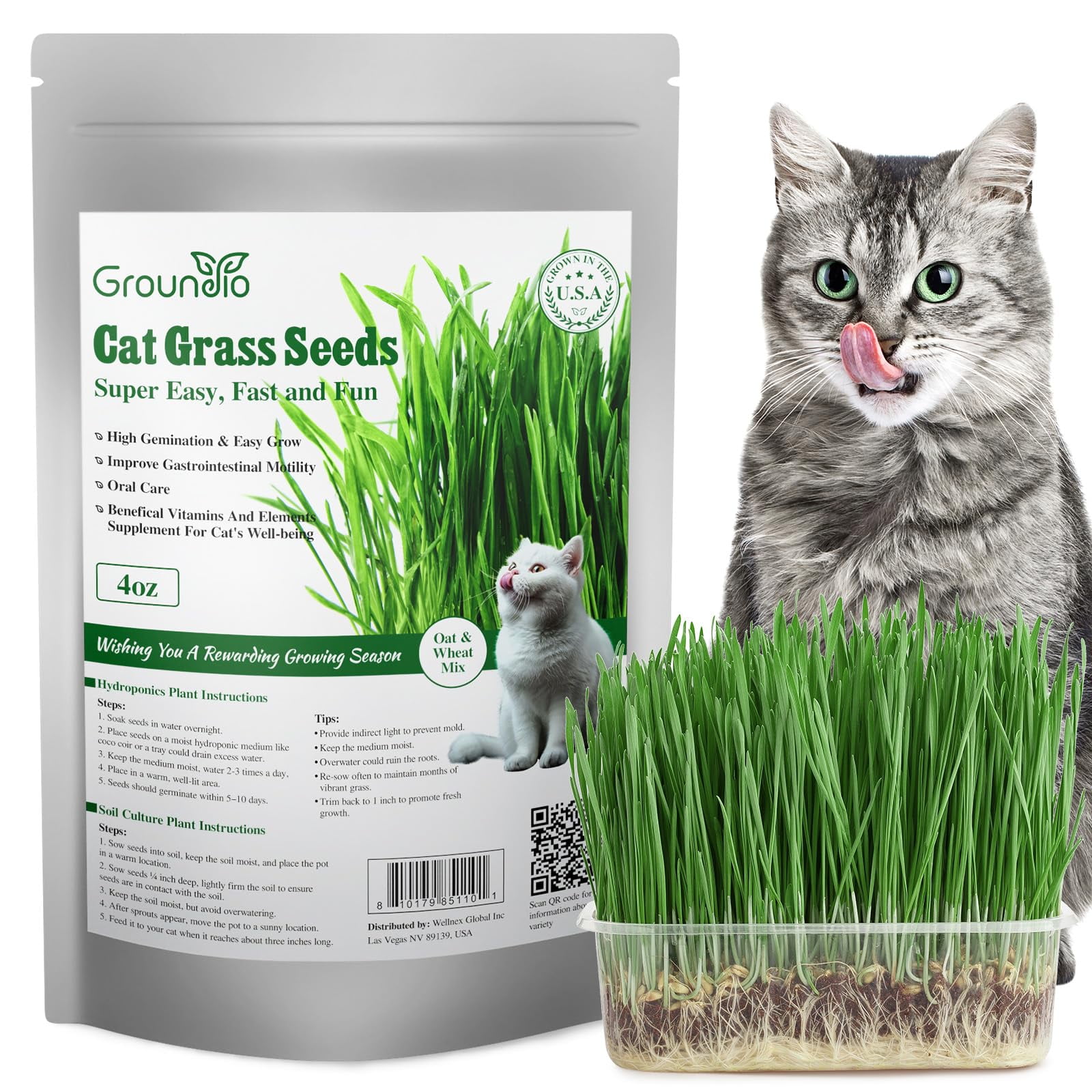Groundio Cat Grass Seeds, 4 Oz, MVR1 Non-GMO Wheat Cat Grass Seeeds & Oat Seeds Mix, High ...