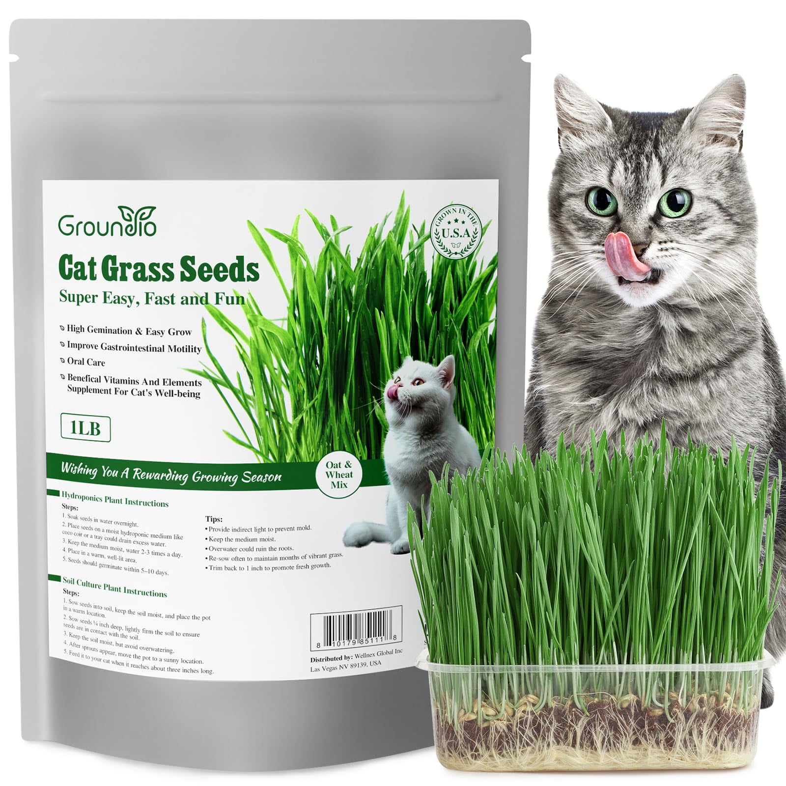 Groundio Cat Grass Seeds, HMF23 16 OZ, Grown in The USA for Indoor Cats ...
