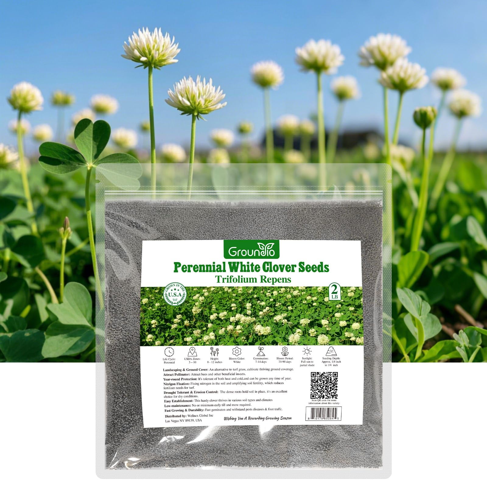 Groundio Perennial White Dutch Clover Seeds SMRfor Lawn, 2 lbs, Ground ...