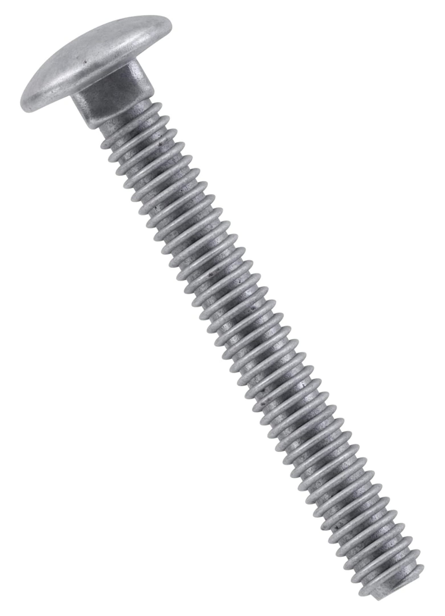 Group Galvanized Carriage Bolt 5/16” x 6”, 50 Count, Blunt Point, Alloy ...