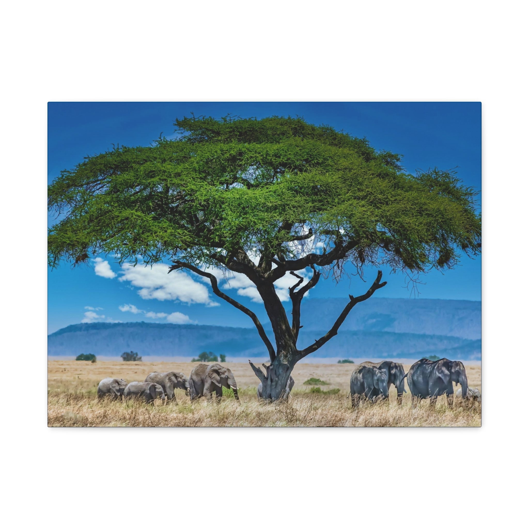 Group of African Elephant Under a Tree Outdoor Wall Art Ready To Hang ...