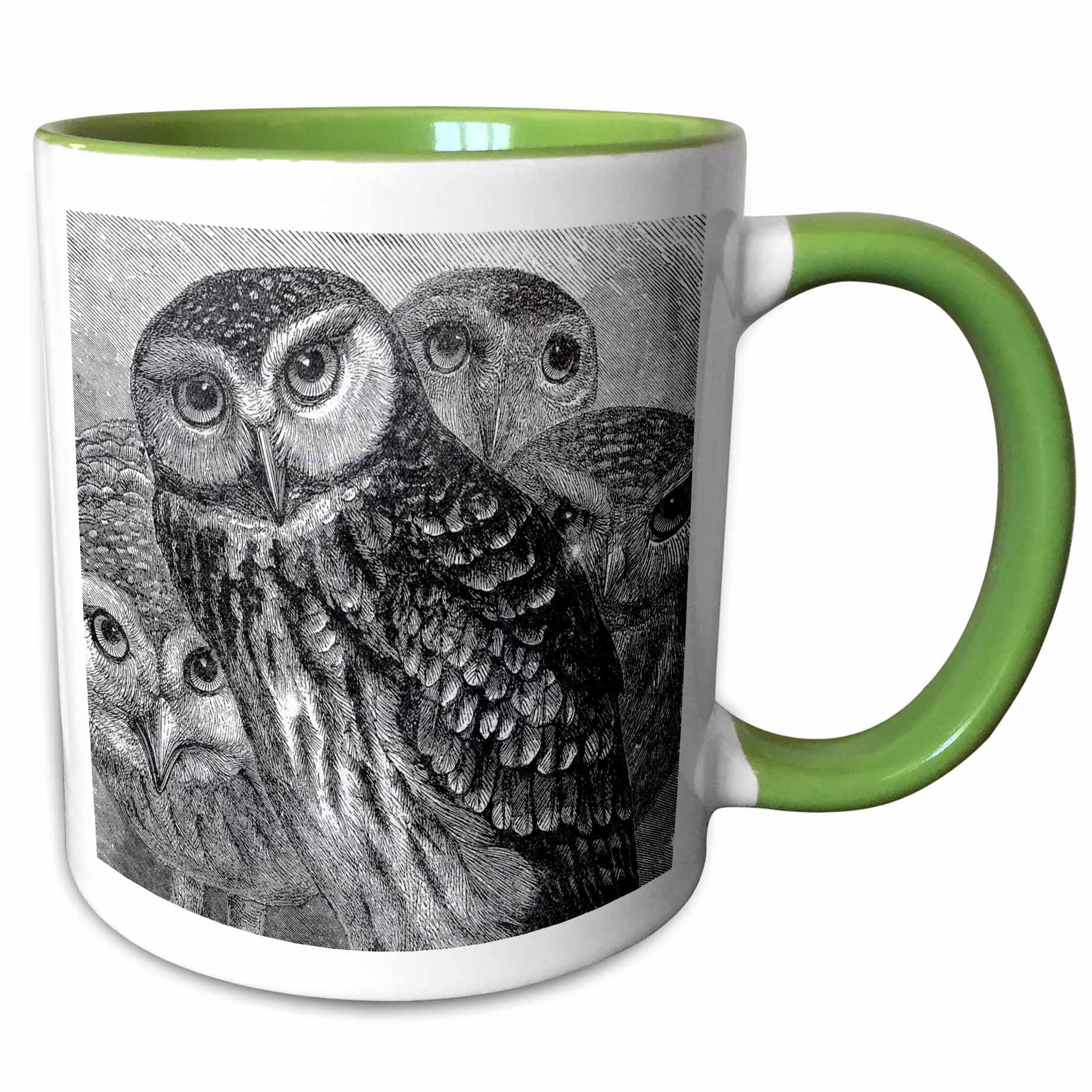 Group of Four Owls - black and white owl engraving etching - detailed ...