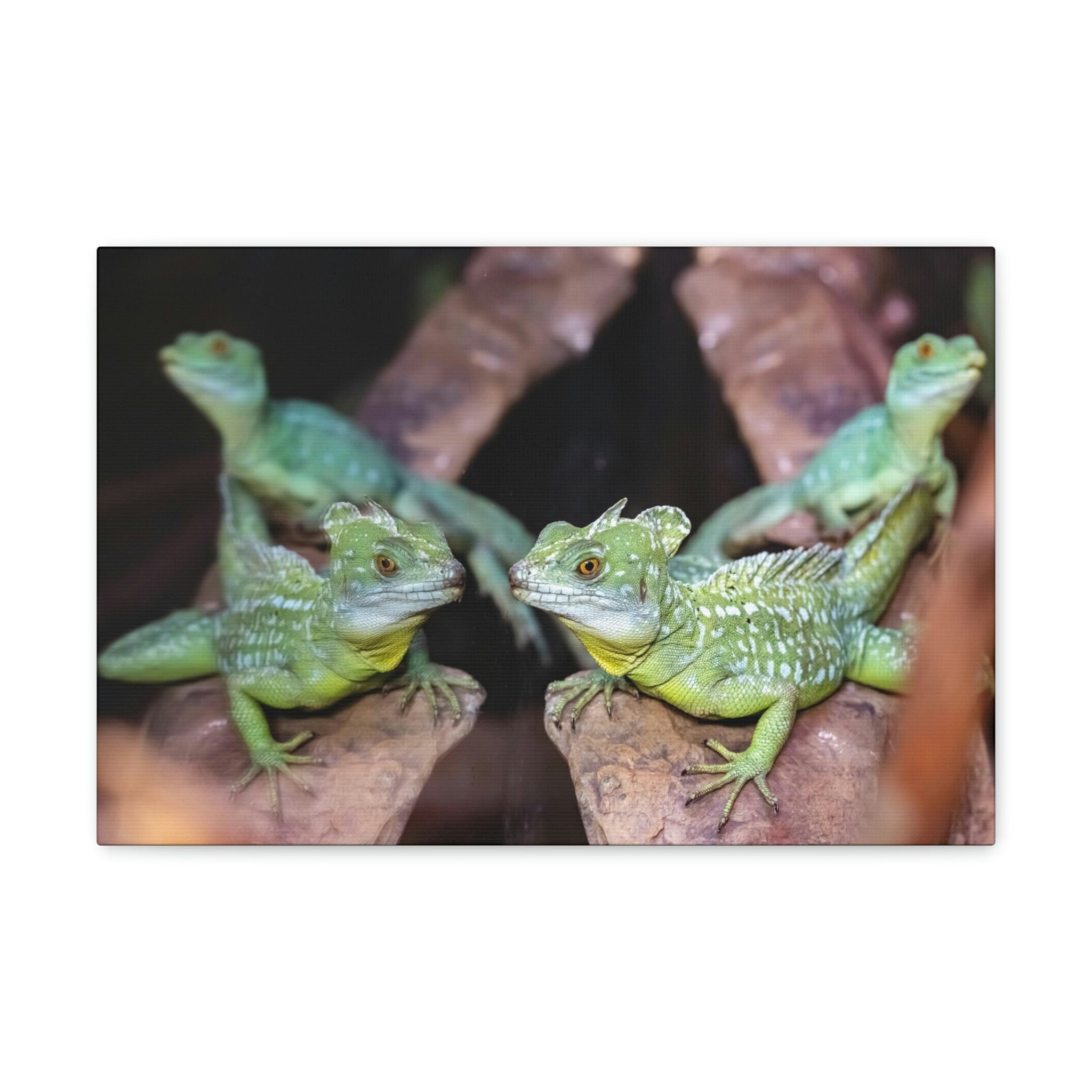 Group of Helmet Bearing Basilisk Print Animal Wall Art Wildlife Canvas ...