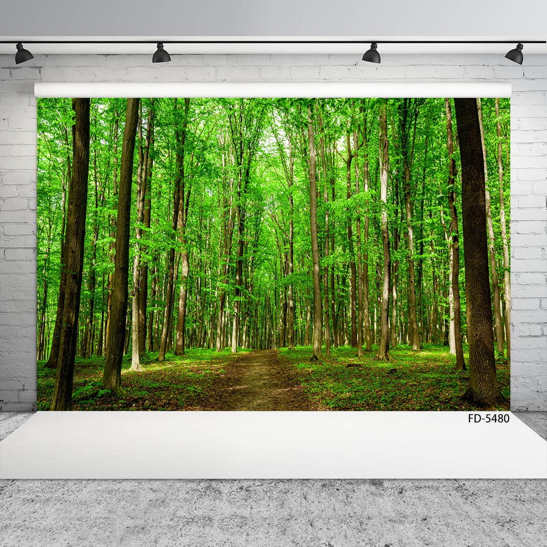 Grove Trees Path Photography Background Custom Fond Backdrops for ...