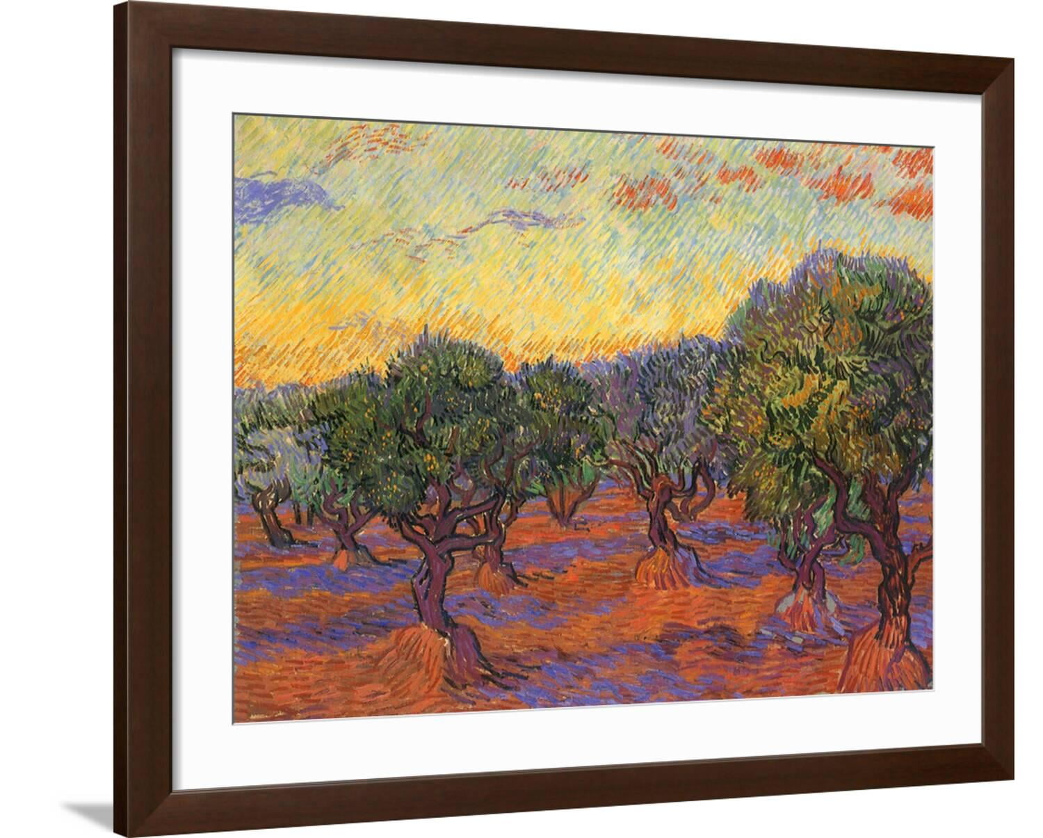 Art.com Grove of Olive Trees, 1889 Giclee Print by Vincent van Gogh ...