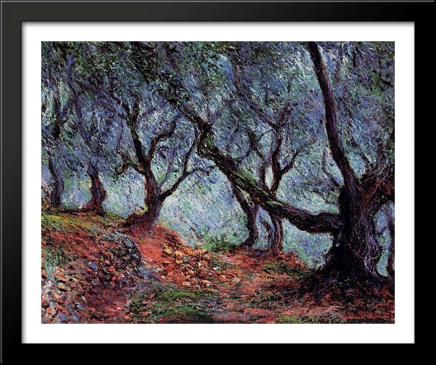 Grove of Olive Trees in Bordighera 34x28 Large Black Wood Framed Print ...
