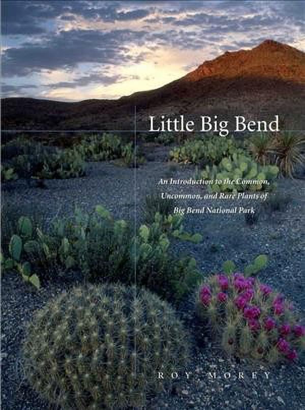 Grover E. Murray Studies in the American Southwest: Little Big Bend ...