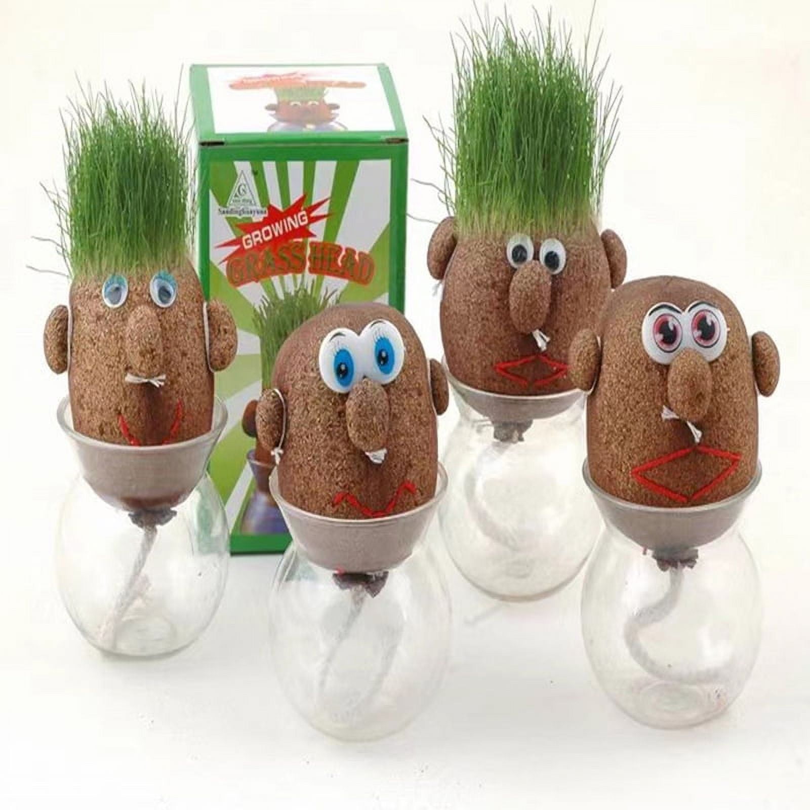Grow Bag Pots Grass Head Doll planting bag Flower Pot Desktop Radiation ...