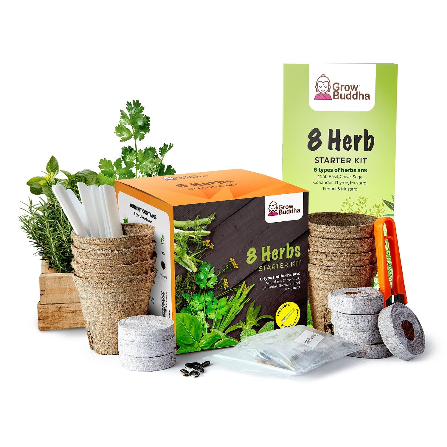 Grow Buddha herb Seeds Variety Pack, Your Own Gardening Kit - Easily ...