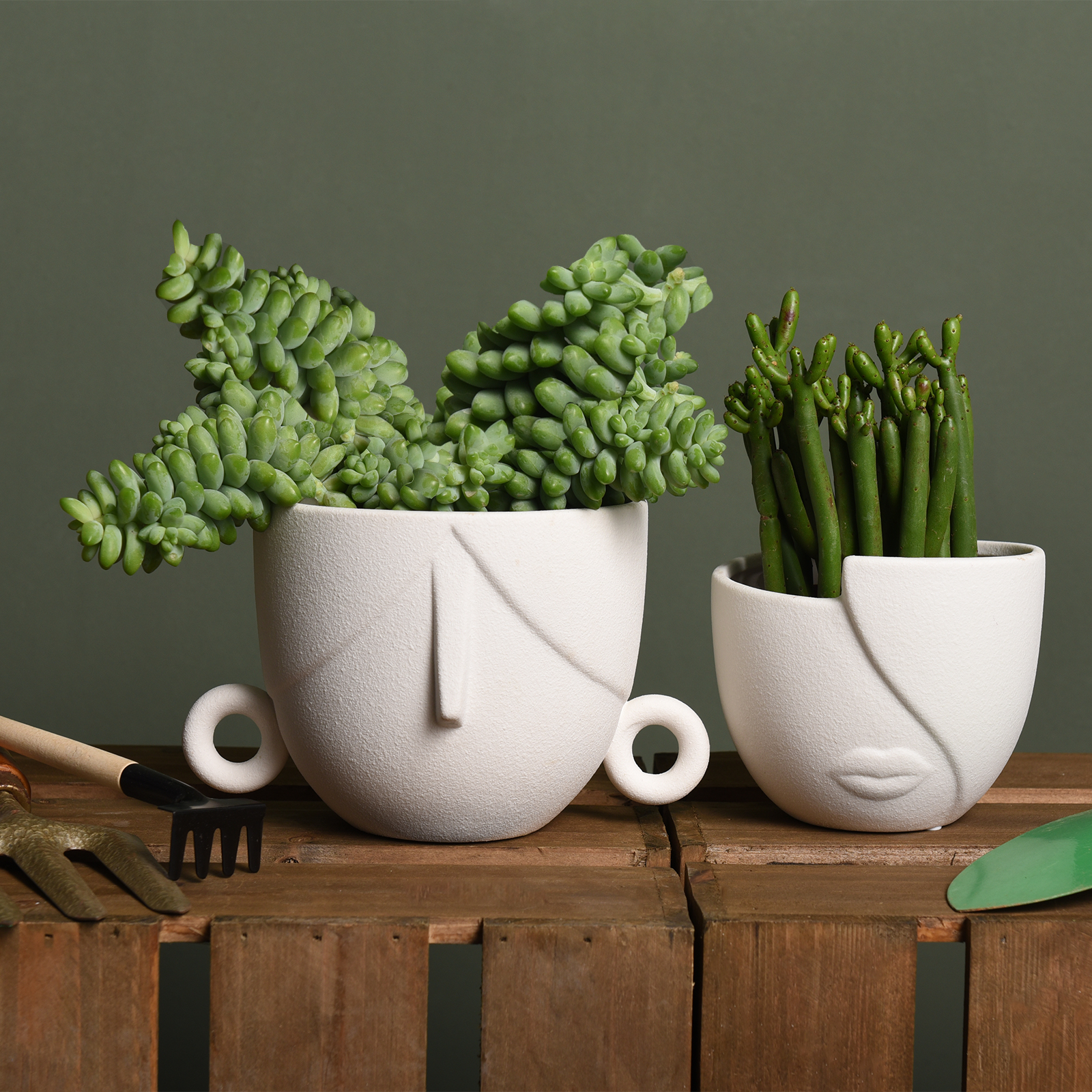 3.5 Inch Cute Ceramic Succulent Garden Pots, Planter with Drainage and ...