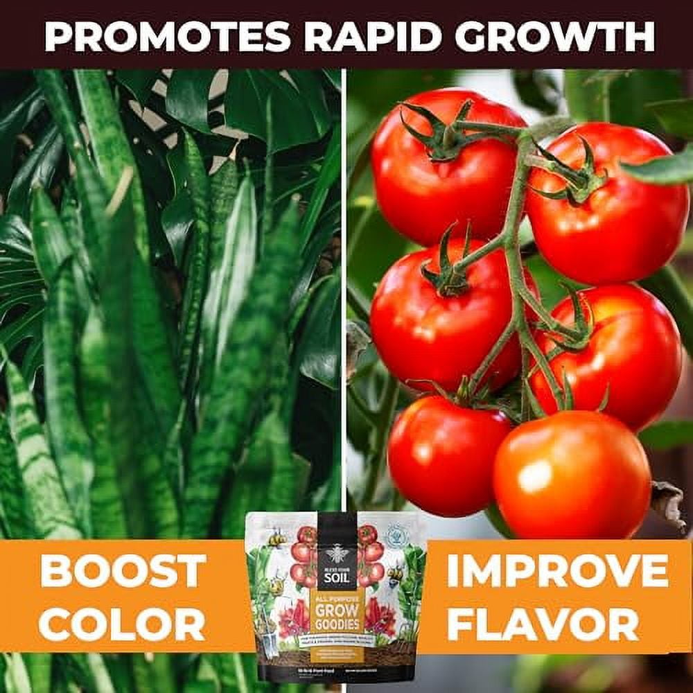 Grow Goodies Garden Fertilizer (1LB) All Purpose Superfood for Vigorous ...