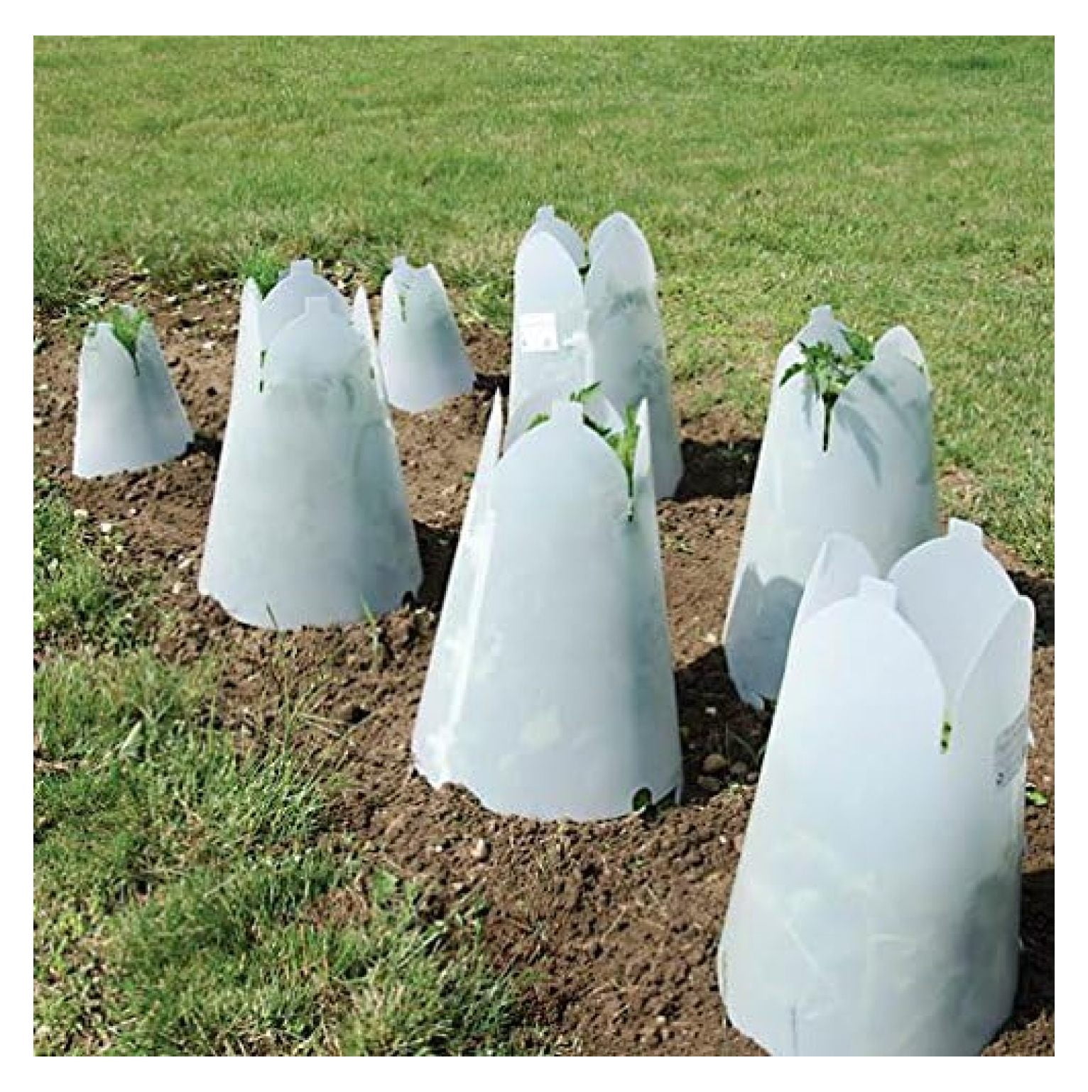 Grow It Now! - Plant Protectors/Frost Guards with Closable Vent, Pack ...