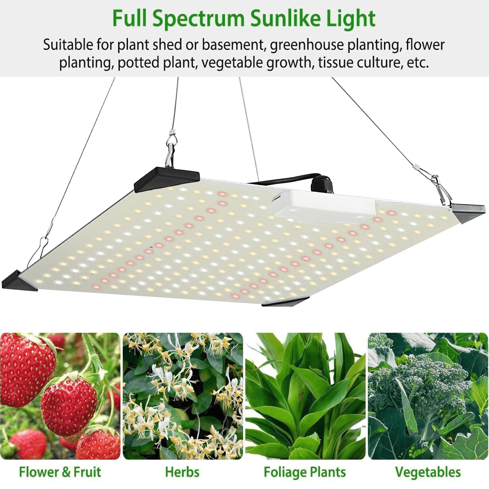Grow Light 1000W Full Spectrum LED for Indoor Plant Growth 3x3 ft ...