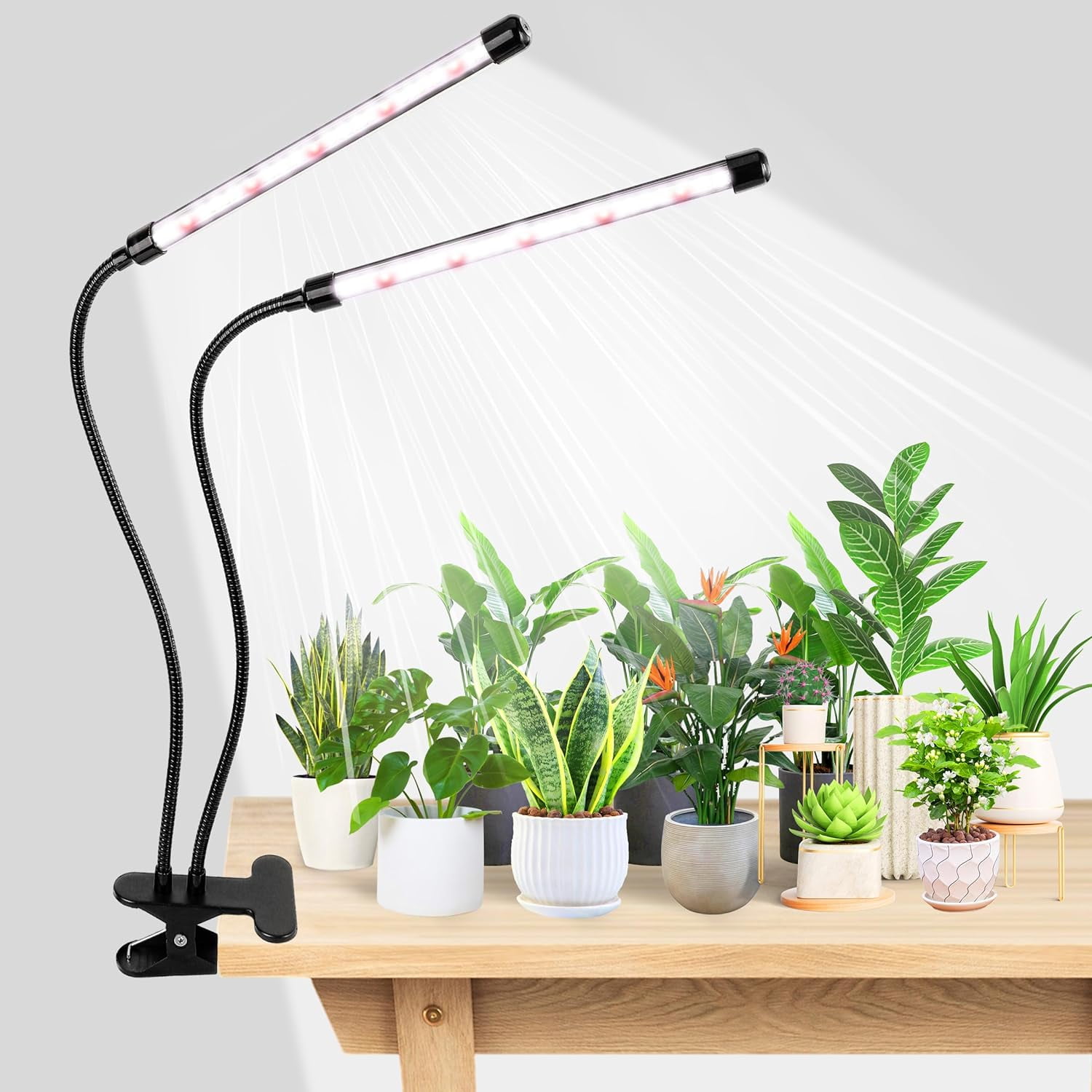 Grow Light 6500K Full Spectrum Plant Grow Lights 84 LED Plant Light ...