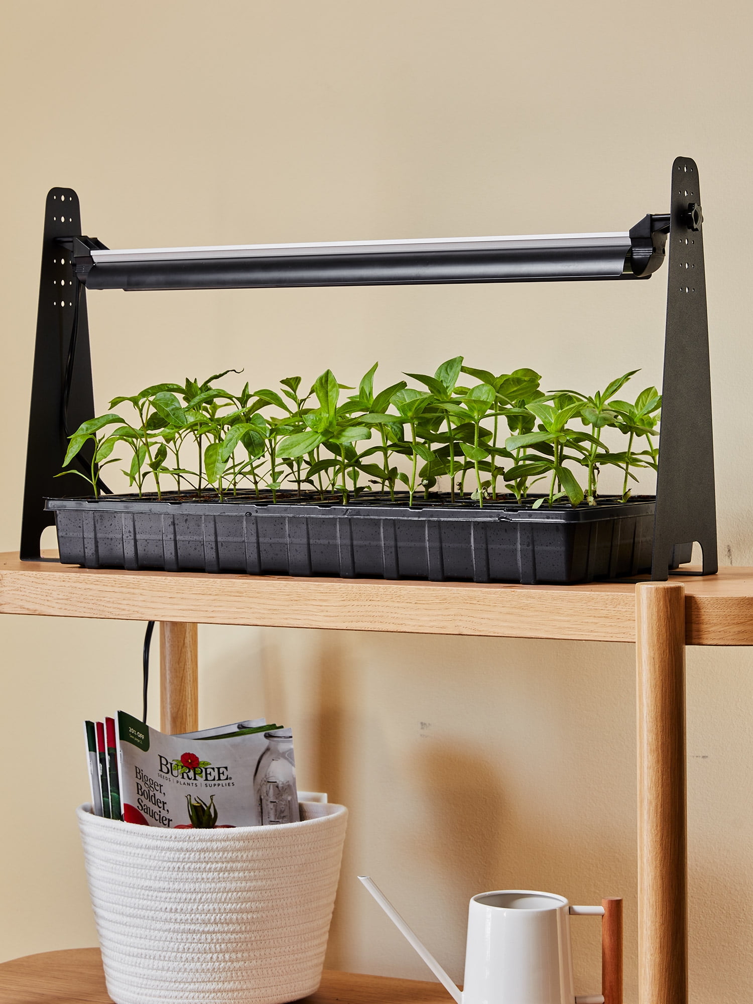 Grow Light, Dynamo LED - Walmart.com