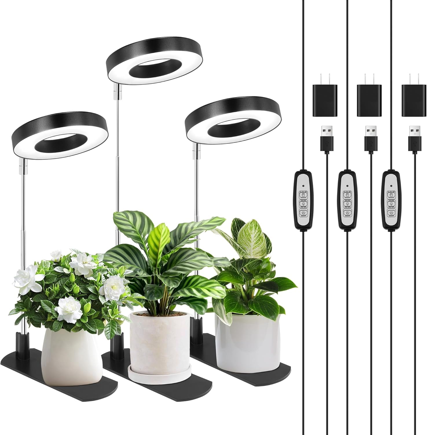 Grow Light for Indoor Plants, Full Spectrum Halo Plant Grow Light with ...