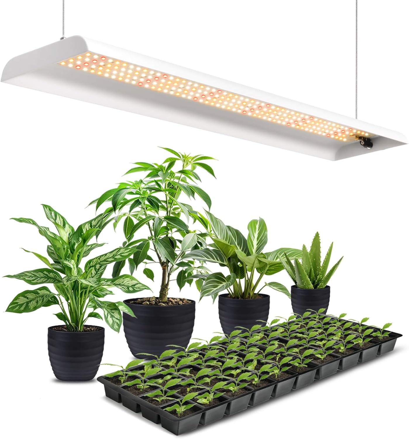 Grow Light Stand, Advanced LED Plant Growth Lighting with 4/8/12H Timer ...