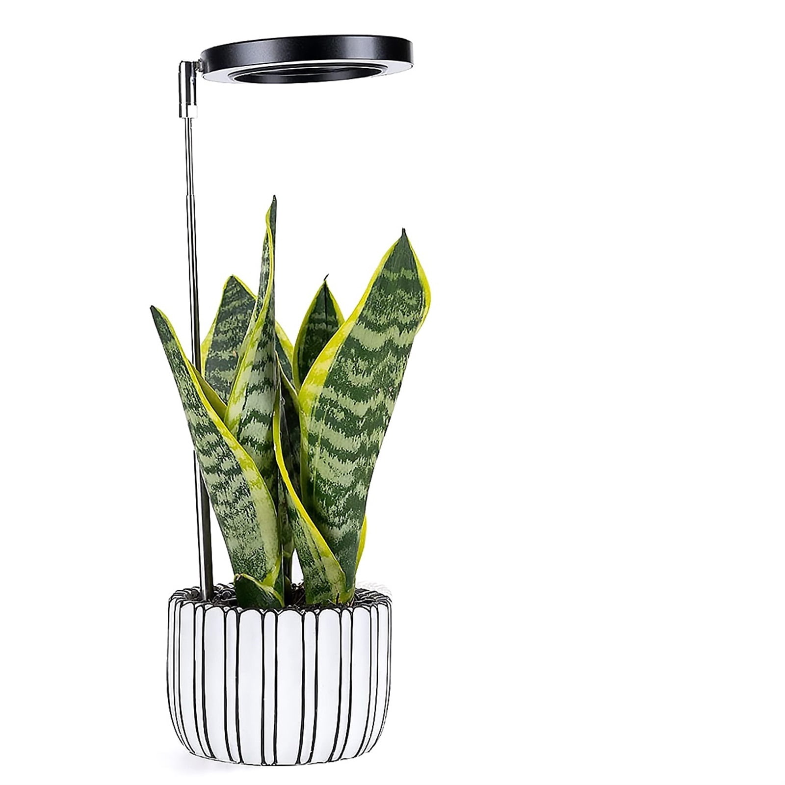 Grow Lights, Grow Light Full Indoor Plants Height Adjustable Growing ...