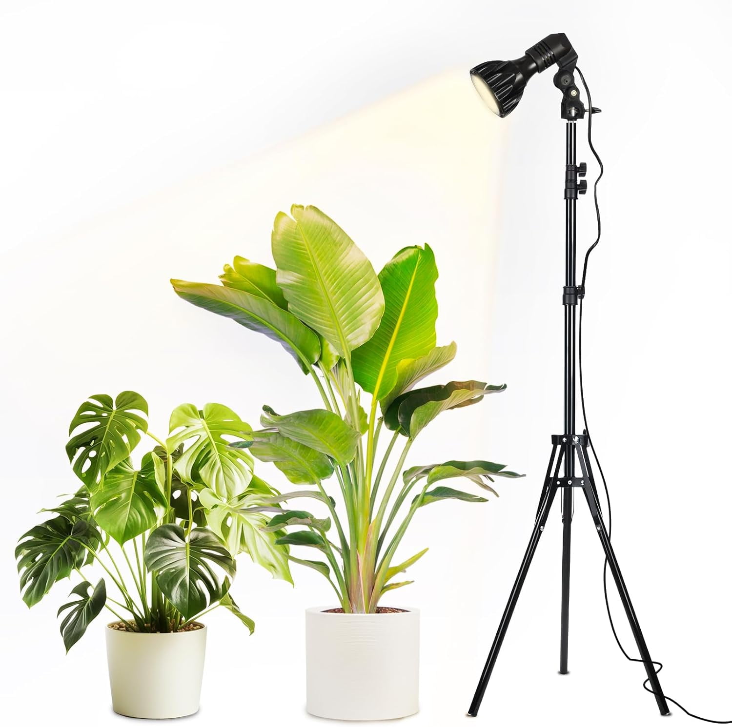 Grow Lights for Indoor Plants, 30W Full Spectrum Standing Grow Light ...