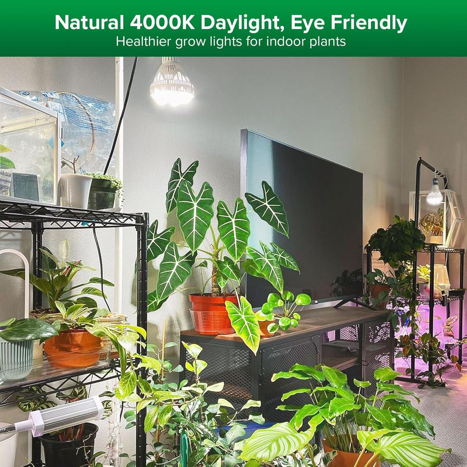 Grow Lights for Indoor Plants, Full 36W Grow Light Bulbs (400 Watt ...