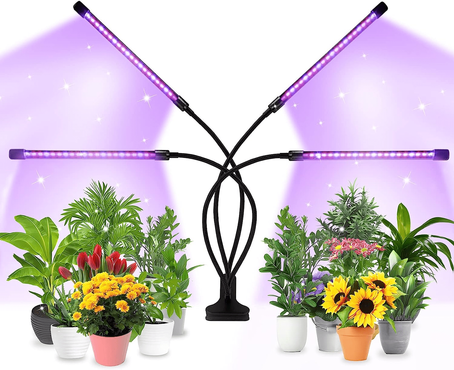 Bamworld Indoor Grow Lights, Full Spectrum, 80 LEDs, 3 Modes with Timer ...