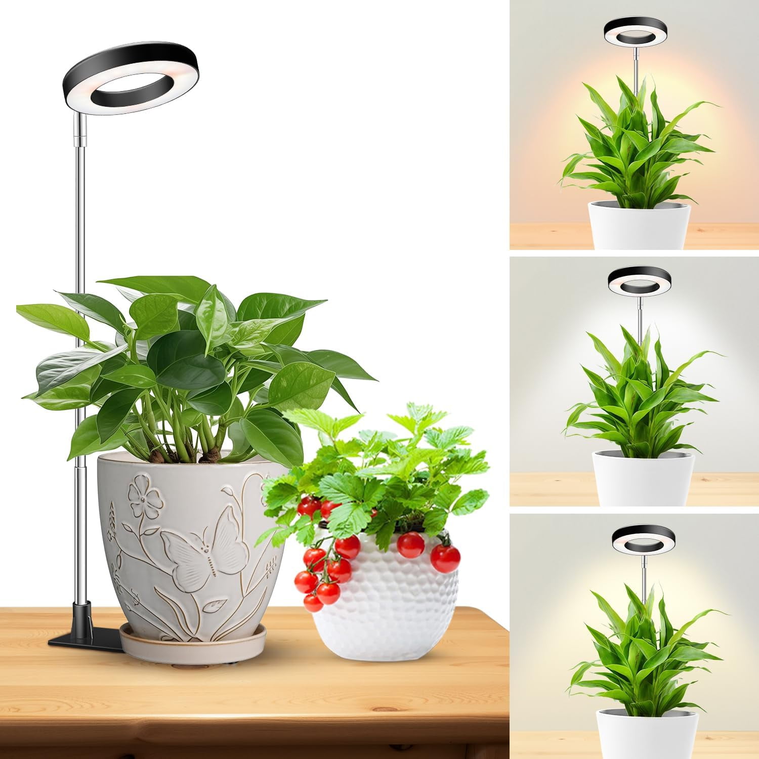 Grow Lights for Indoor Plants, Full Spectrum Halo Growing lamp with ...